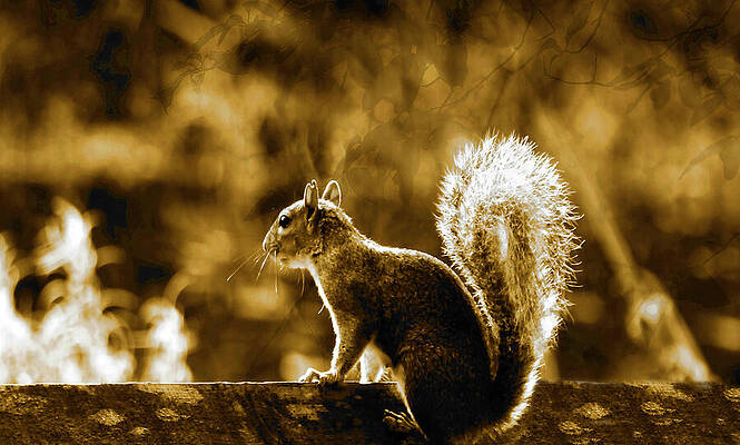Andrew David Photography - Official Website