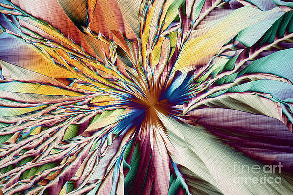 Engineering Wall Art for Sale by Science Photo Library