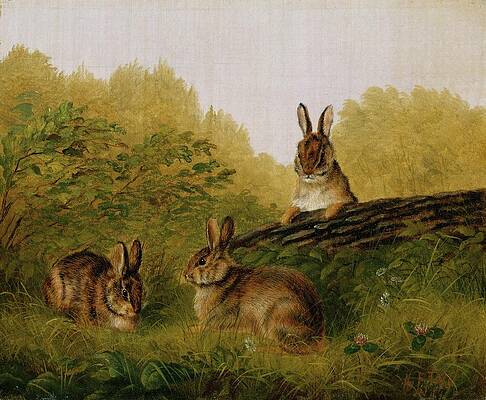 Famous Rabbit Paintings for Sale