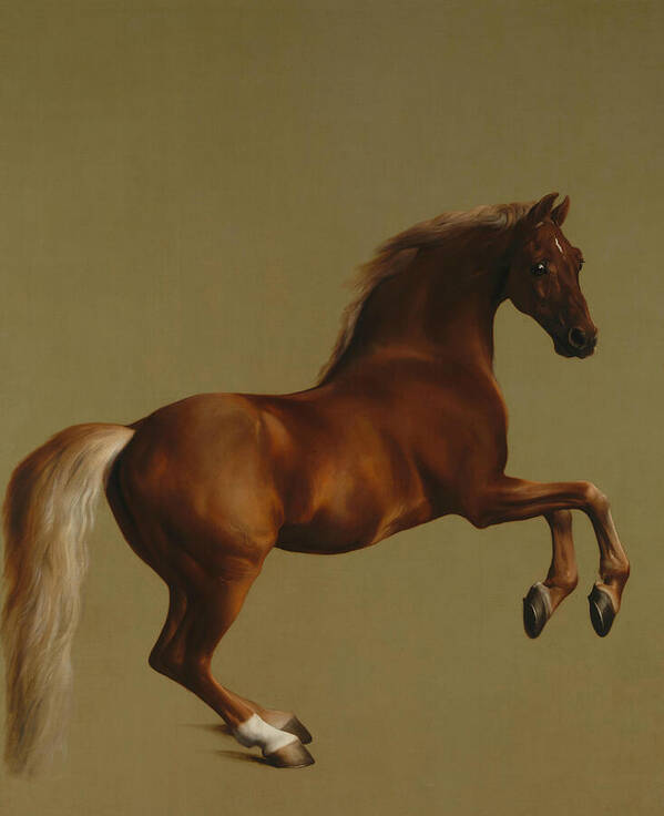 Whistlejacket, from circa 1762 Poster by George Stubbs - Treasury ...
